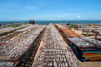 39 Profitable Fishing Business ideas You Can Start With Little Money ...