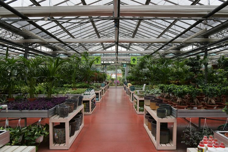 Plant Nursery Business Plan Sample Template ProfitableVenture Plant Nursery Business Plan Sample Template ProfitableVenture