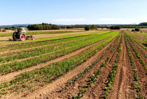 50 Profitable Business ideas for Developing Countries You Can Start ...